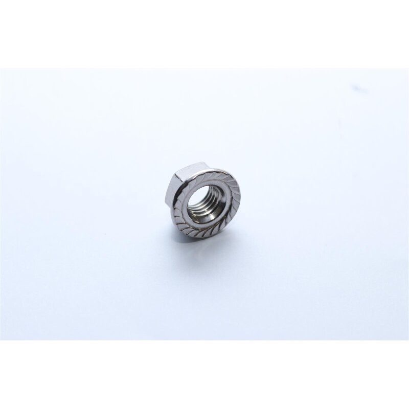 Yinlong - M12 Mutter - DIN 934 - für Yinlong LTO66160H - AkkuPlus